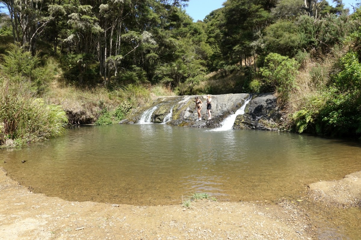 Karakariki Track to Waterfall, Whatawhata | motowalknz