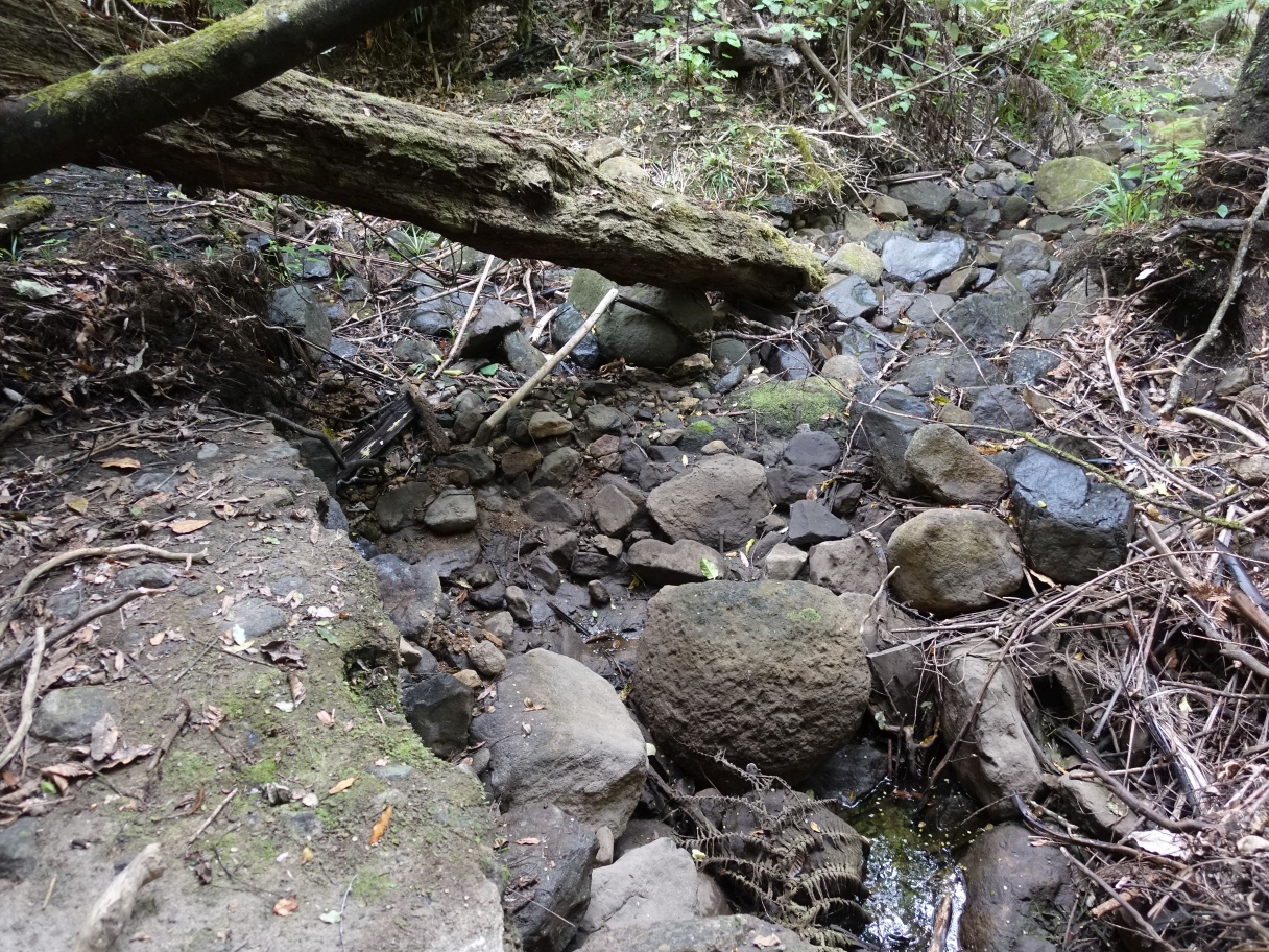 Otawa trig from Manoeka Road | motowalknz