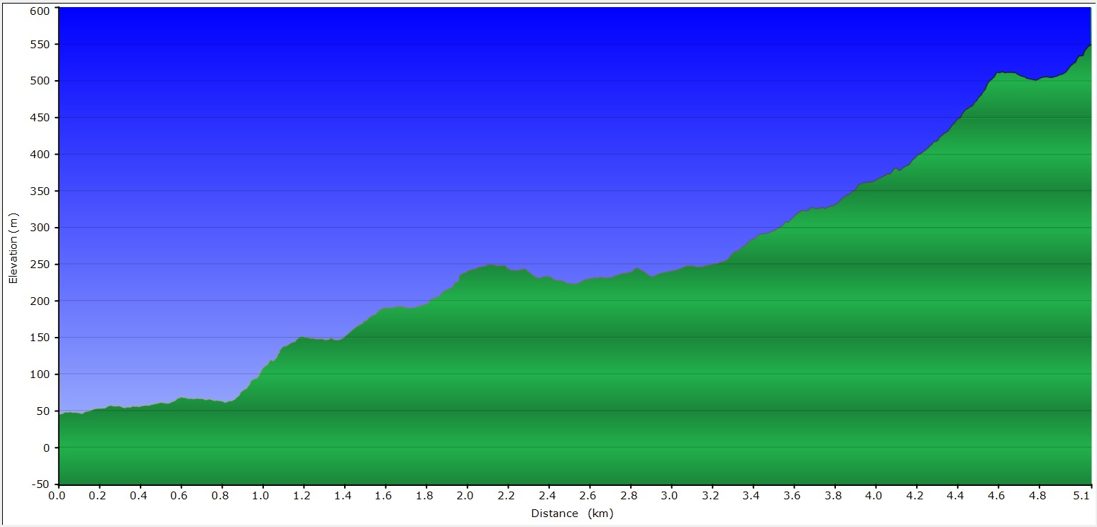 Otawa trig from Manoeka Road | motowalknz
