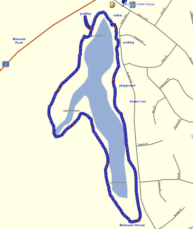 Lake Moananui, Tokoroa | motowalknz