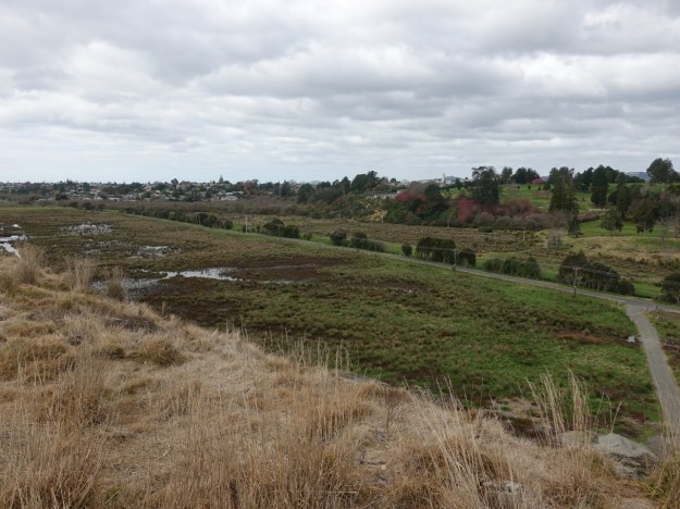 Puketoromiro Pa site, Tauranga | motowalknz