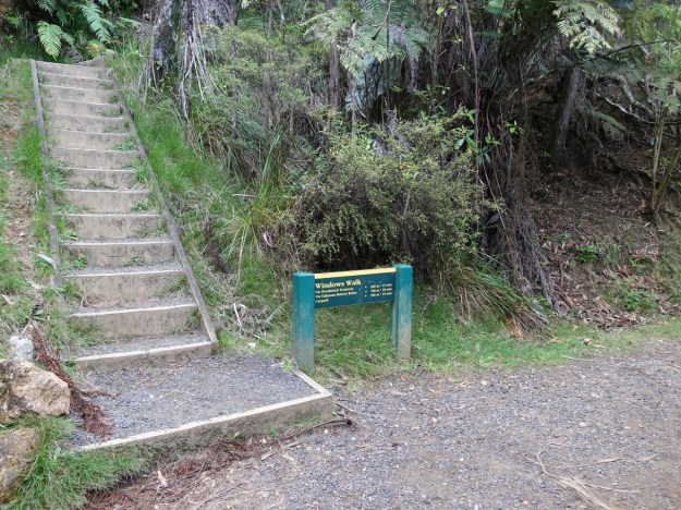Karangahake Windows Walk | motowalknz