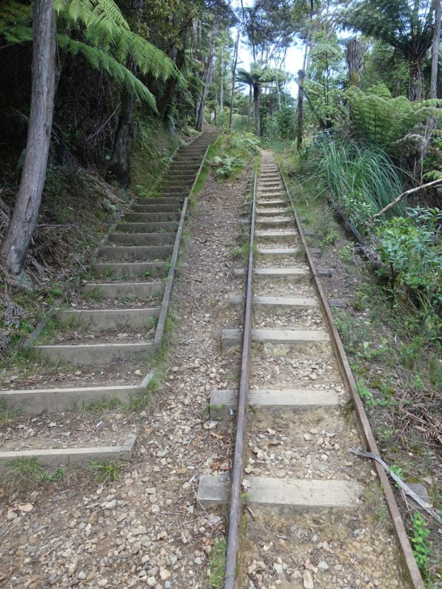 Karangahake Windows Walk | motowalknz