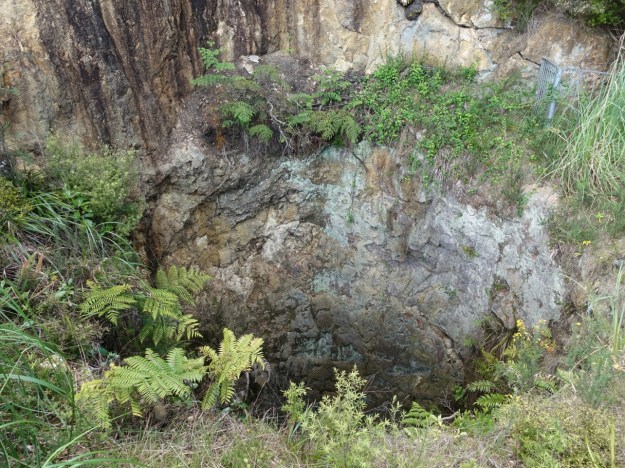 Karangahake Windows Walk | motowalknz