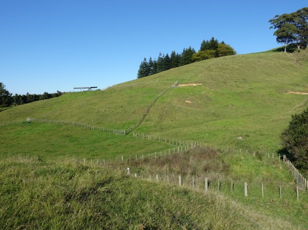 Papamoa Hills – Maraeroa, Valley and Puriri Tracks | motowalknz