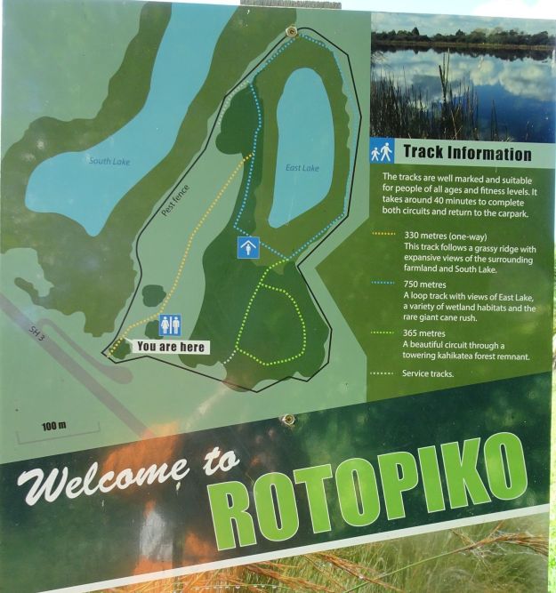 Lake Rotopiko, Ohaupo – Te Awamutu | motowalknz