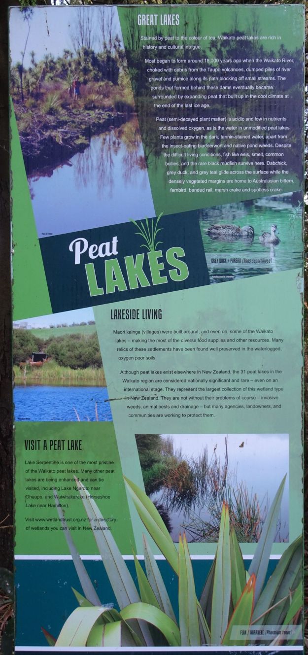 Lake Rotopiko, Ohaupo – Te Awamutu | motowalknz