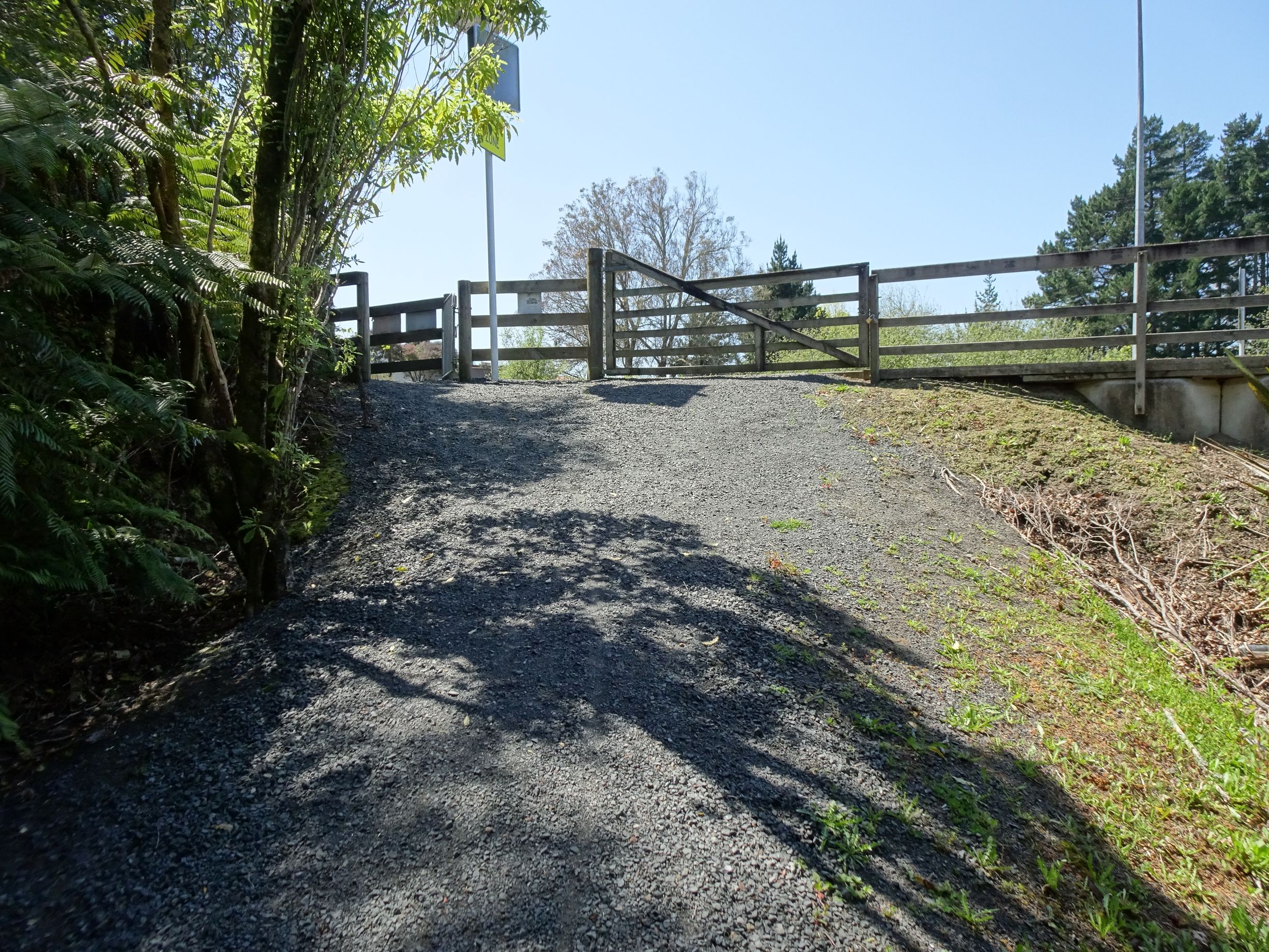 Te Otamanui Walkway, Te Kowhai | motowalknz