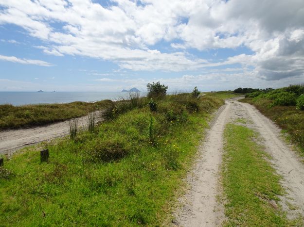 Wetlands at Awakaponga and Matata | motowalknz