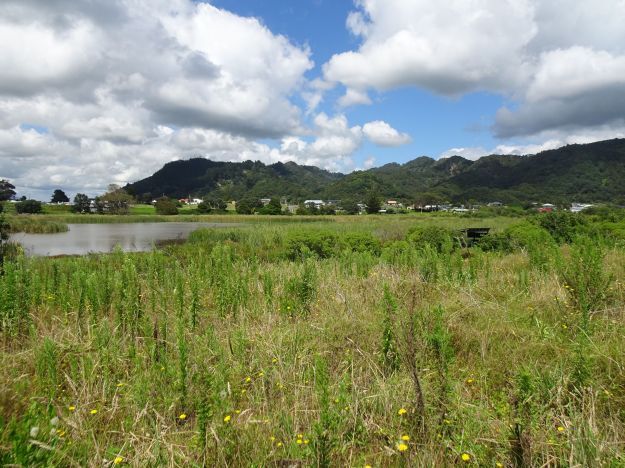 Wetlands at Awakaponga and Matata | motowalknz