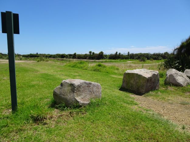 Wetlands at Awakaponga and Matata | motowalknz