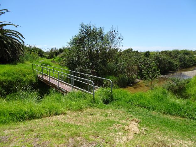Wetlands at Awakaponga and Matata | motowalknz