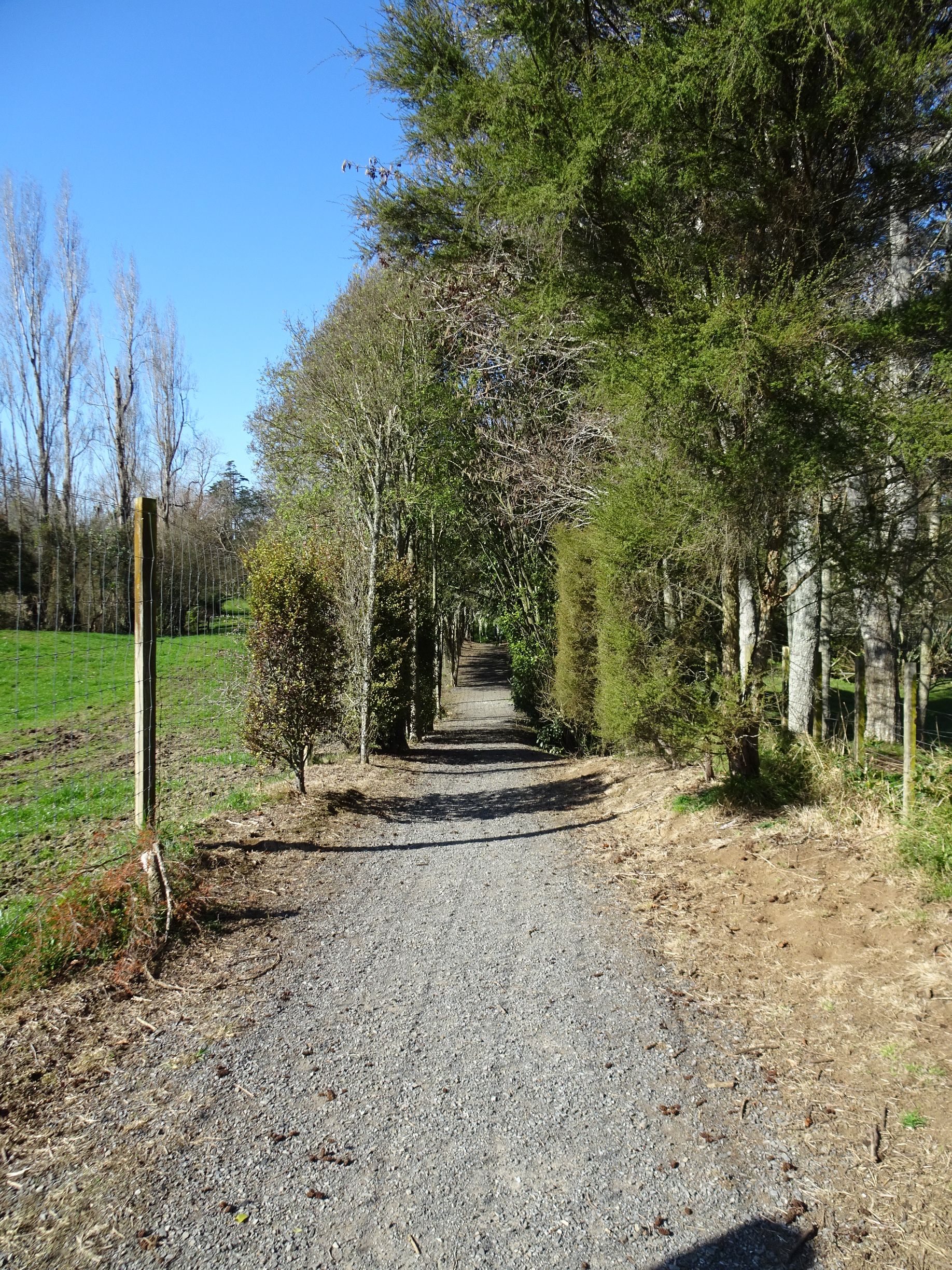 Newstead Walkway, Hamilton | motowalknz
