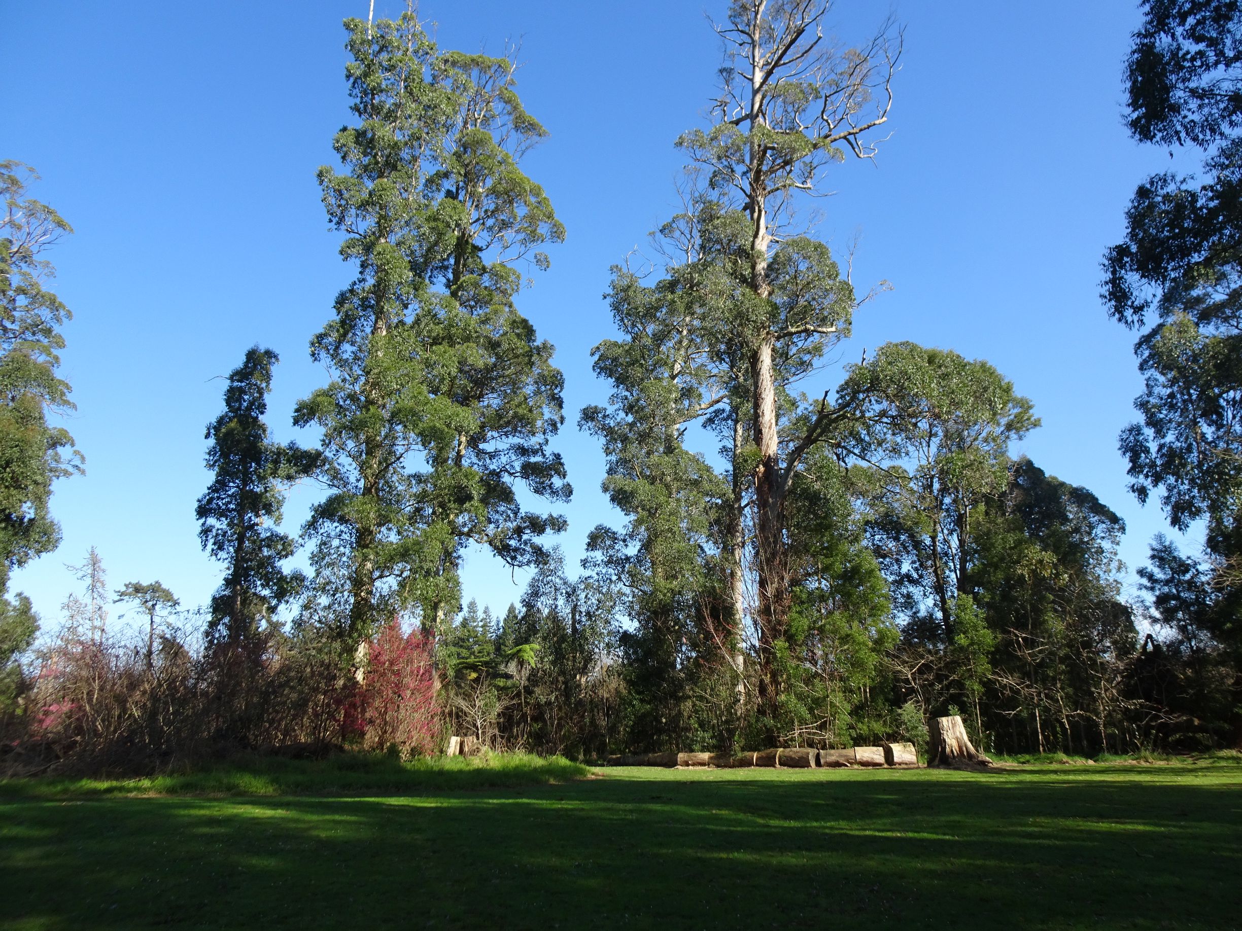 motowalknz | Motorbike rides and walks BoP/Waikato NZ