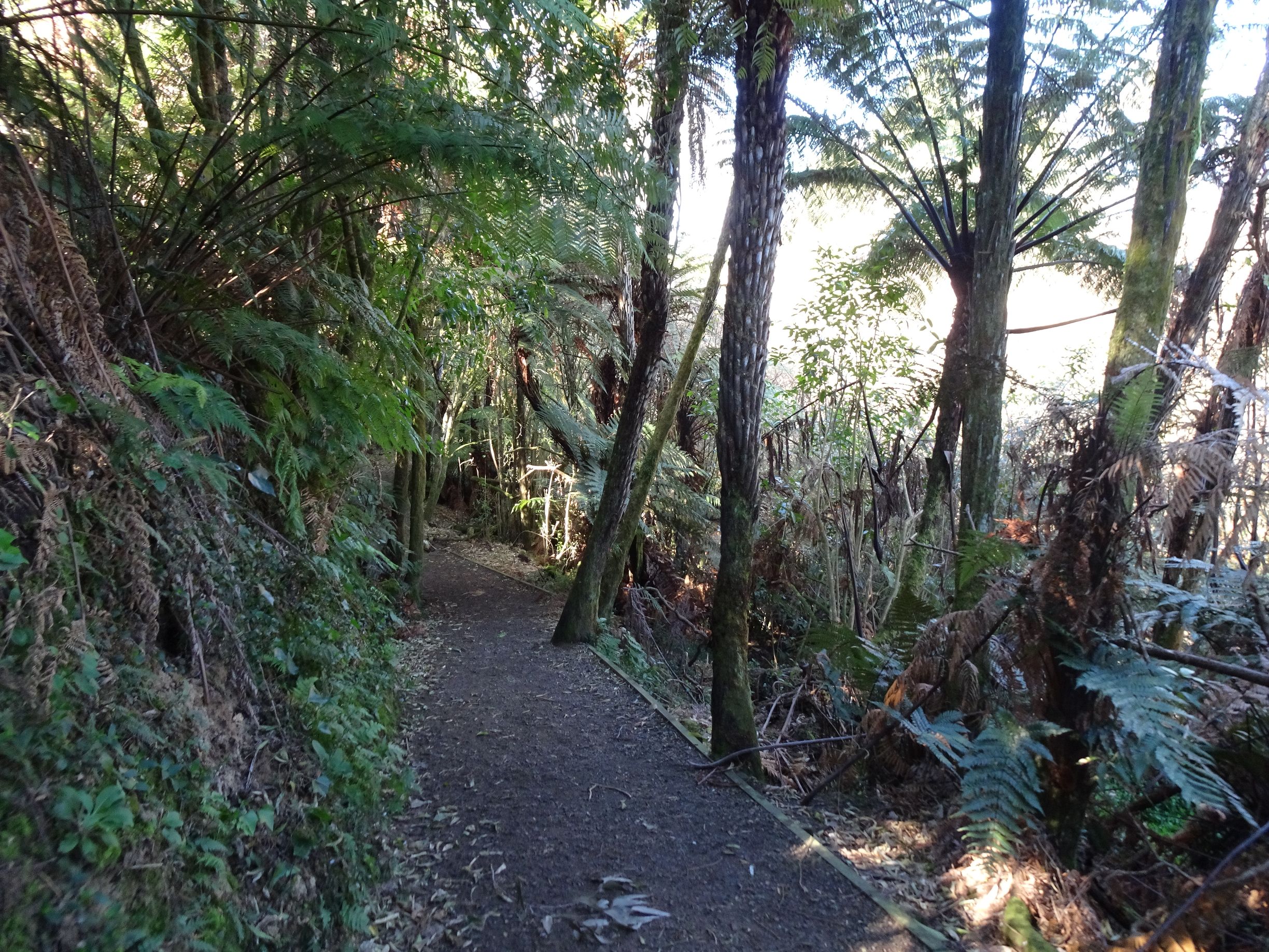 Newstead Walkway, Hamilton | motowalknz