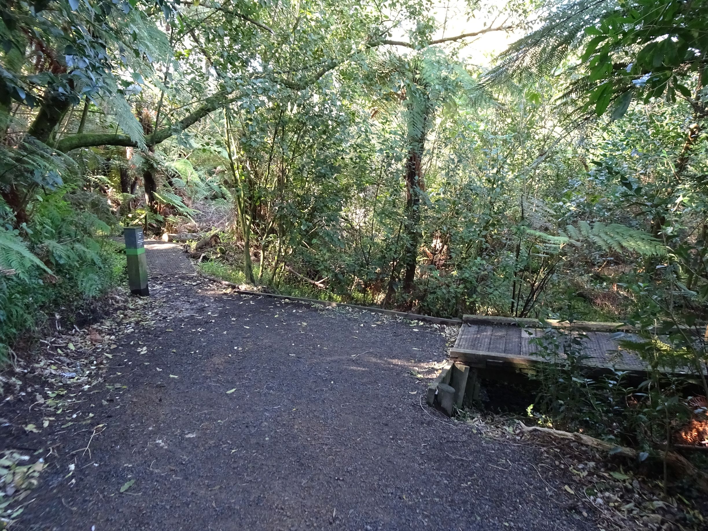 Newstead Walkway, Hamilton | motowalknz