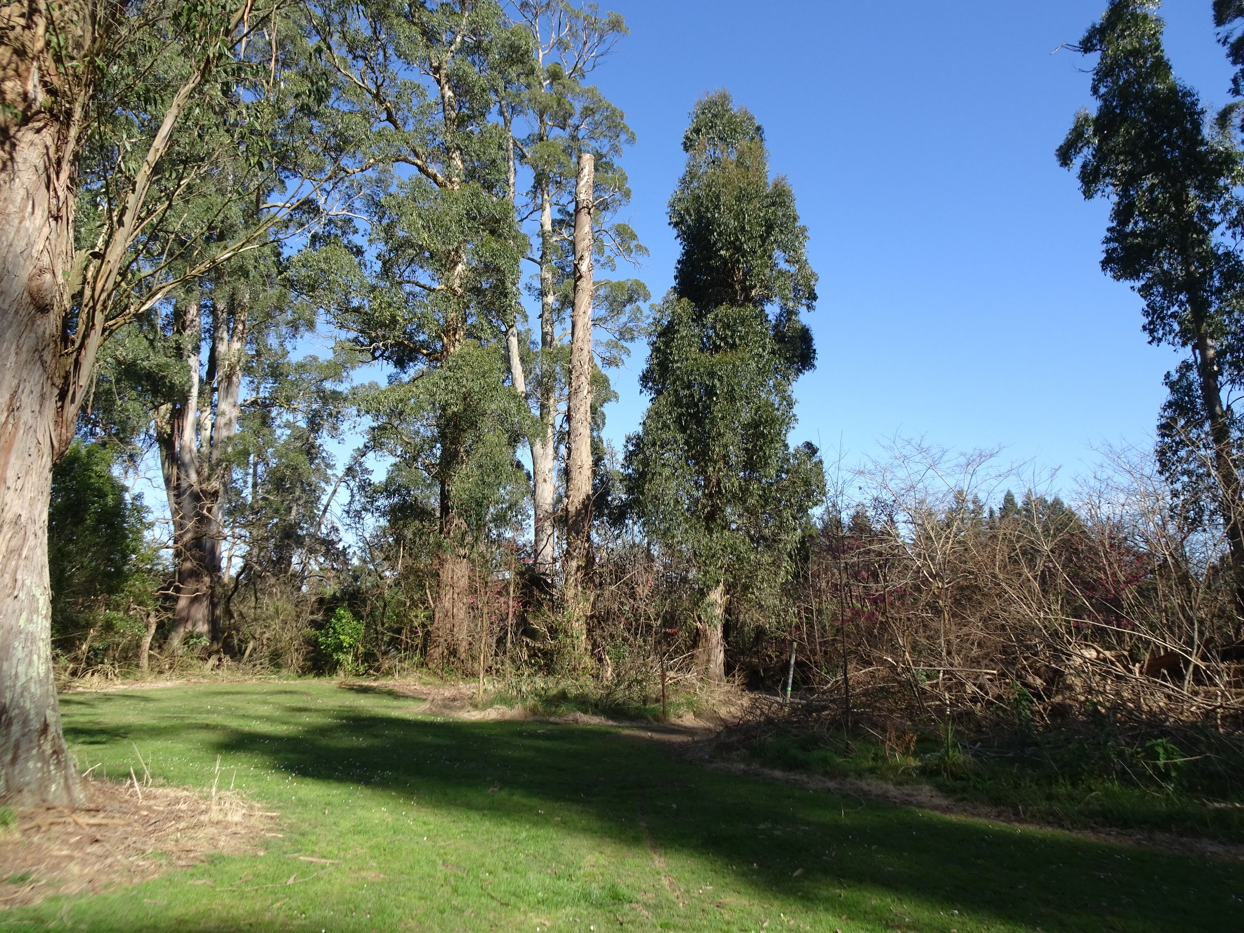 Newstead Walkway, Hamilton | motowalknz